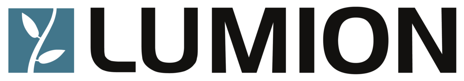 Logo Lumion - ABAJP